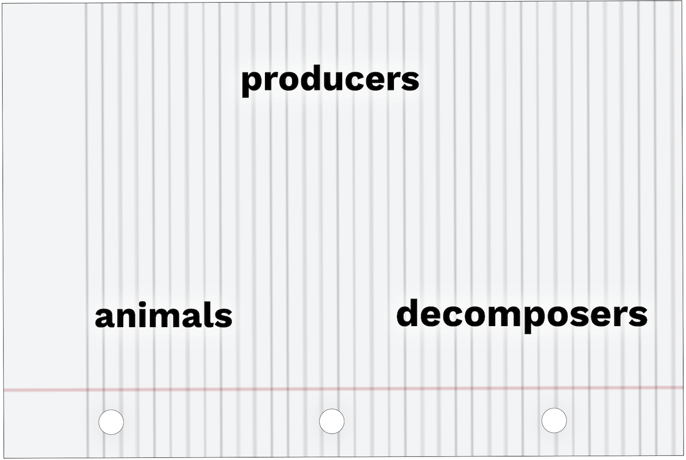 Why do you have to clean a fish tank but not a pond?