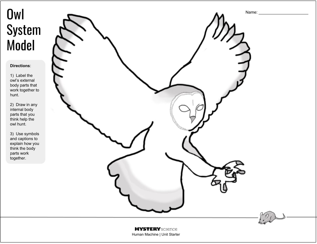 How are animals and plants like machines?