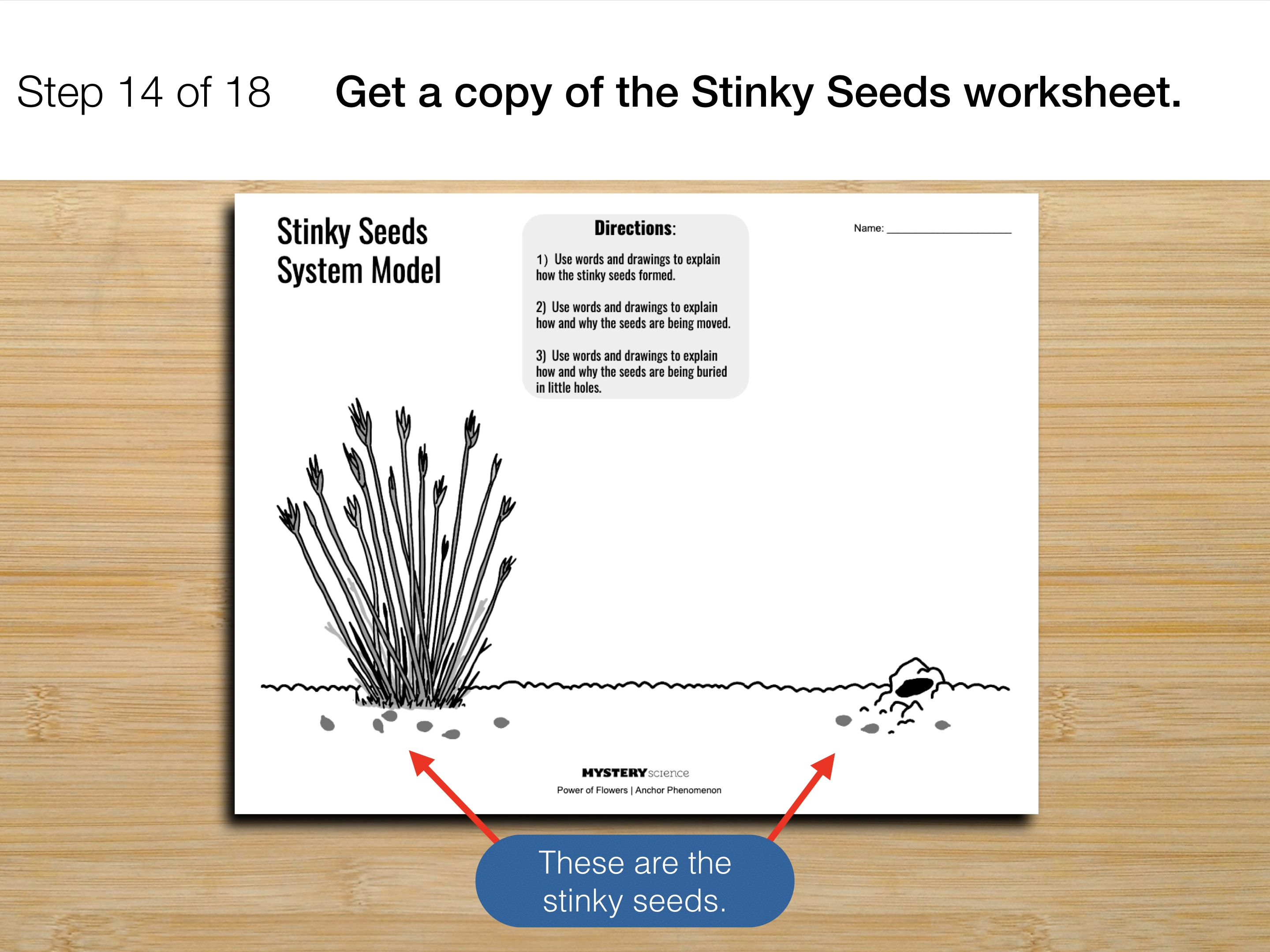 Stinky Seeds