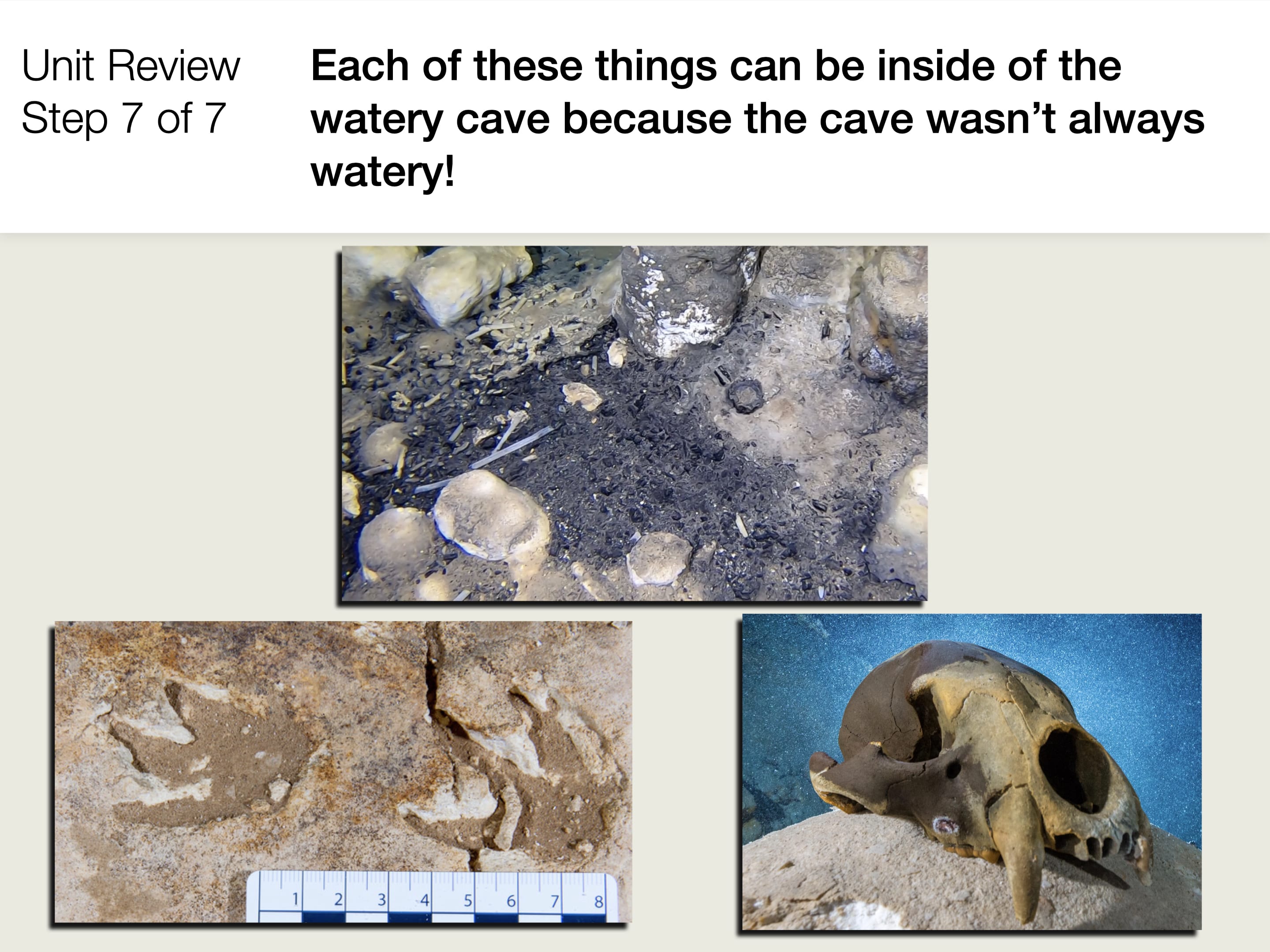 How are you a part of the watery cave's story?