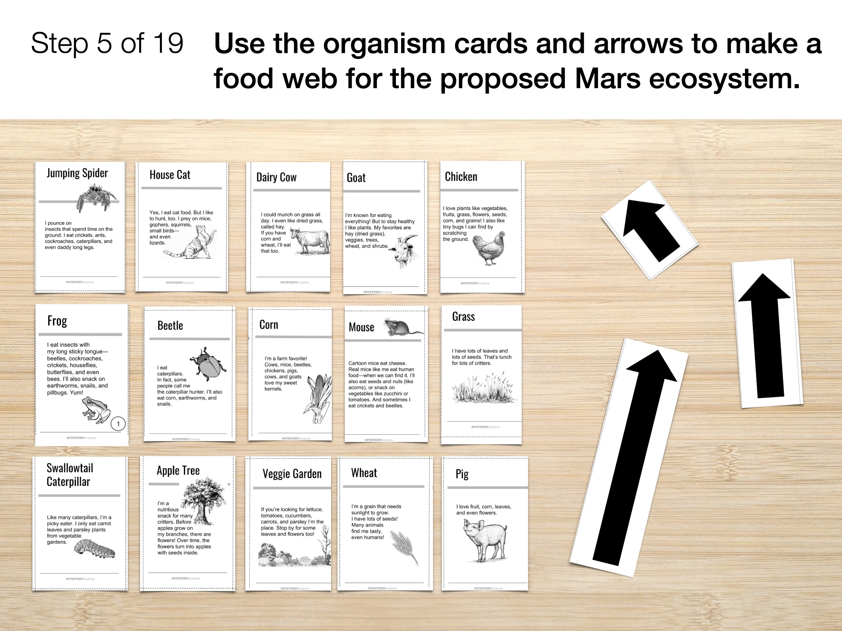 How could we grow food on Mars?