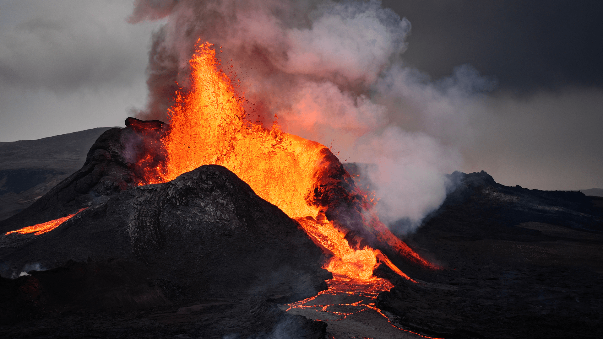 Could an animal live in a volcano? - Mystery Science