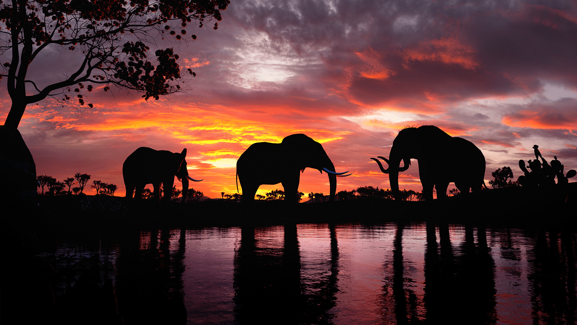 Why do animals become endangered? - Mystery Science