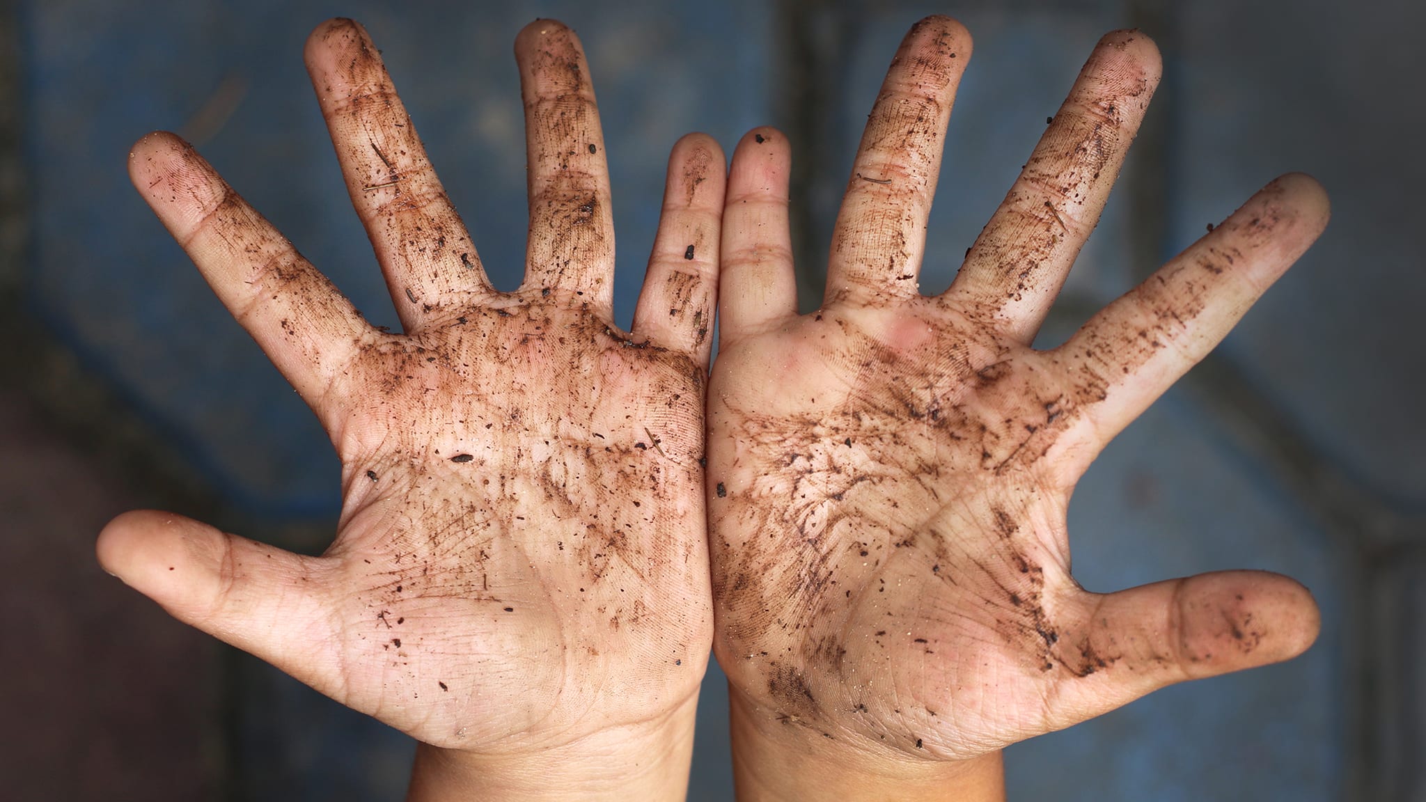 What are the top 5 tips to fight germs? - Mystery Science