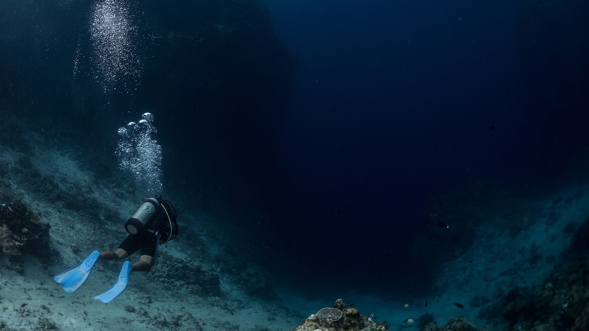 What's at the bottom of the ocean? - Mystery Science