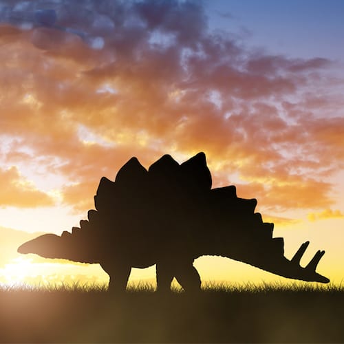 Why did the dinosaurs go extinct?