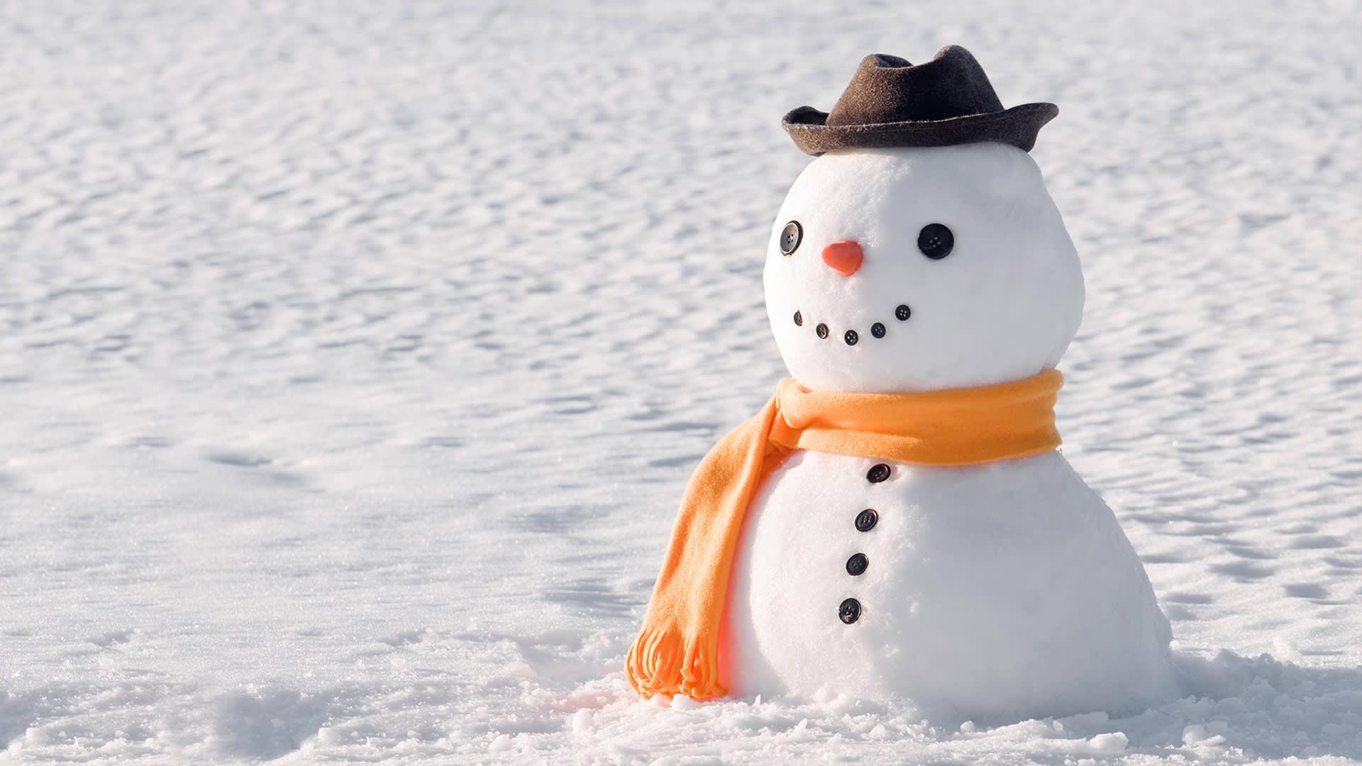 Why is snow white? - Mystery Science