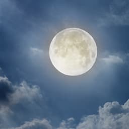 When can you see the full moon?