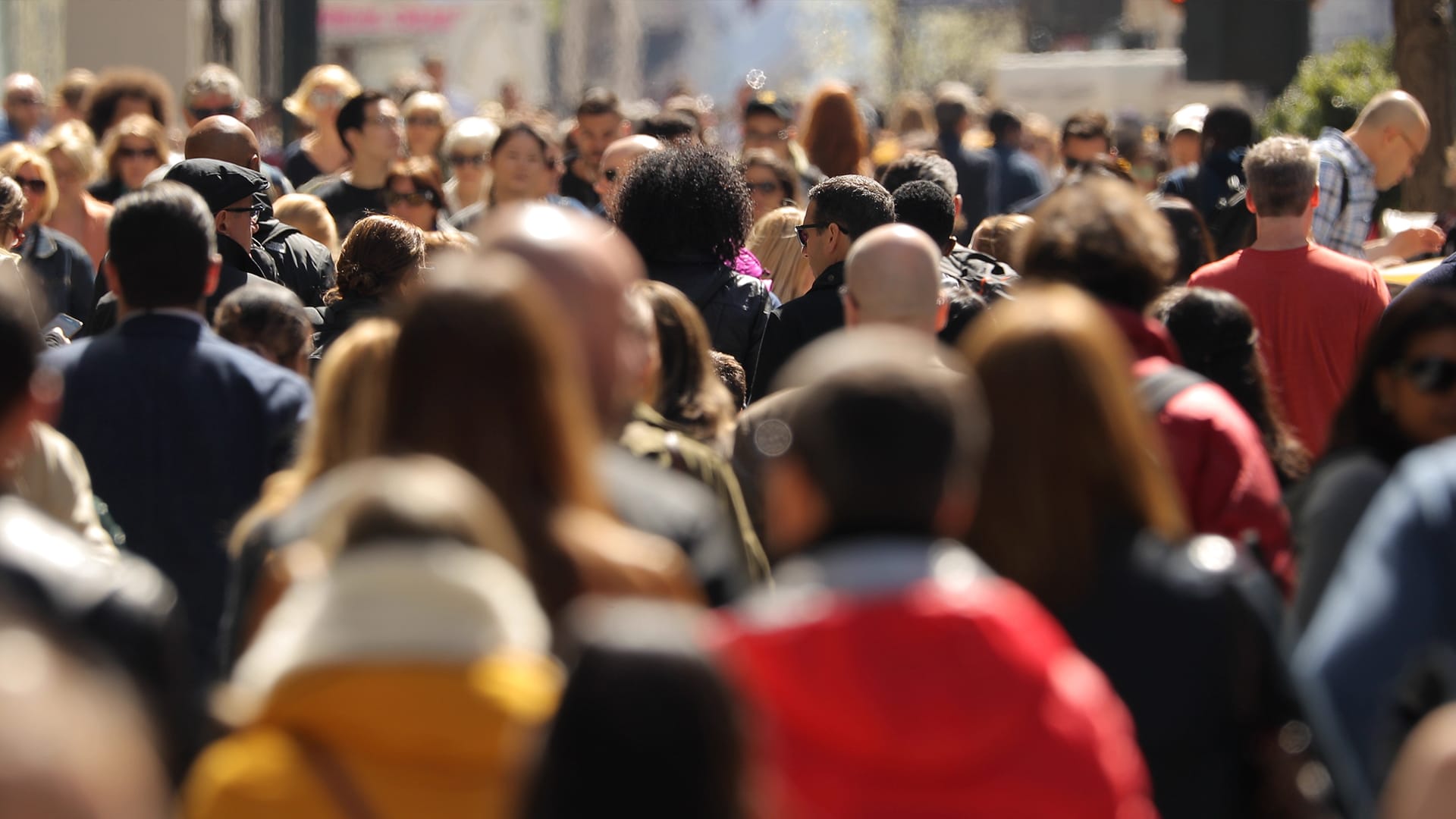 How many people are in the world? - Mystery Science