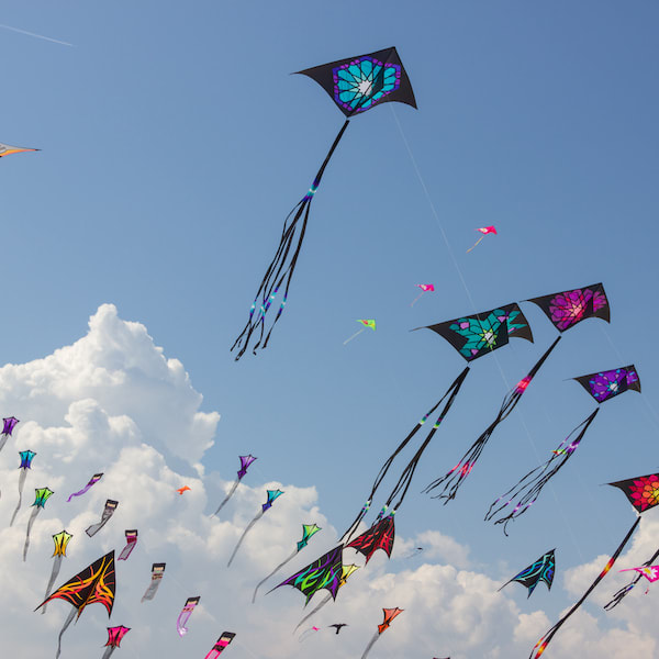 When might we go fly kites?